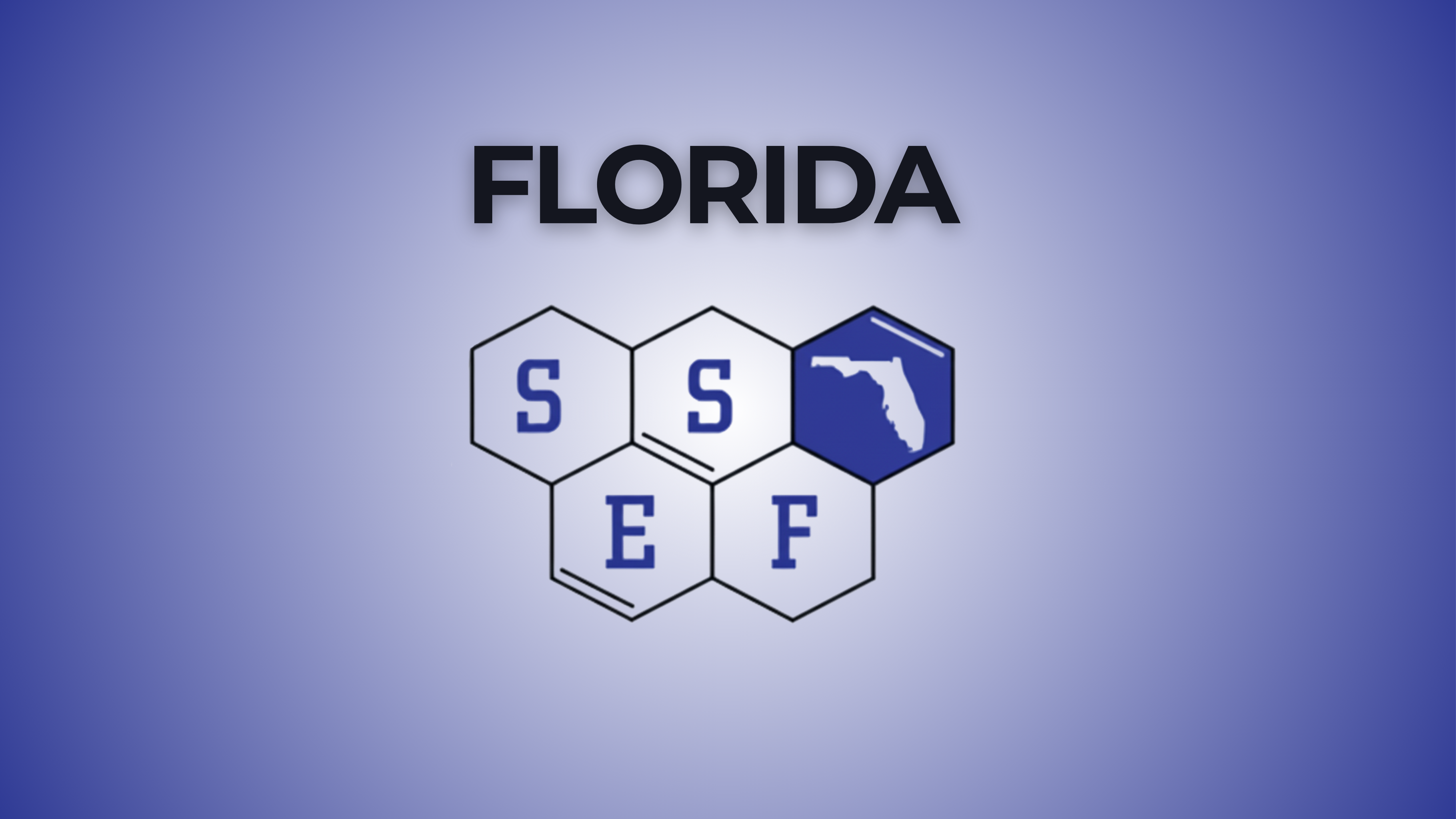The Ultimate Guide to the Florida Science and Engineering Fair (SSEF of ...