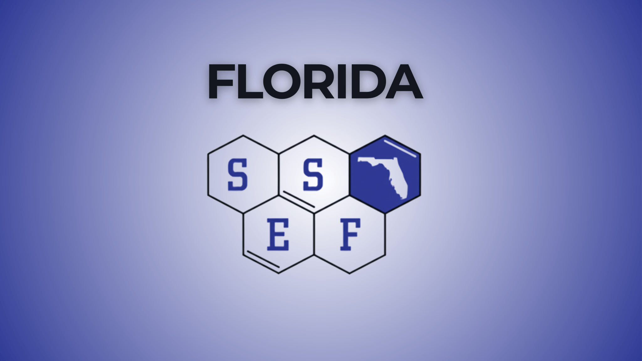 The Ultimate Guide to the Florida Science and Engineering Fair (SSEF of ...